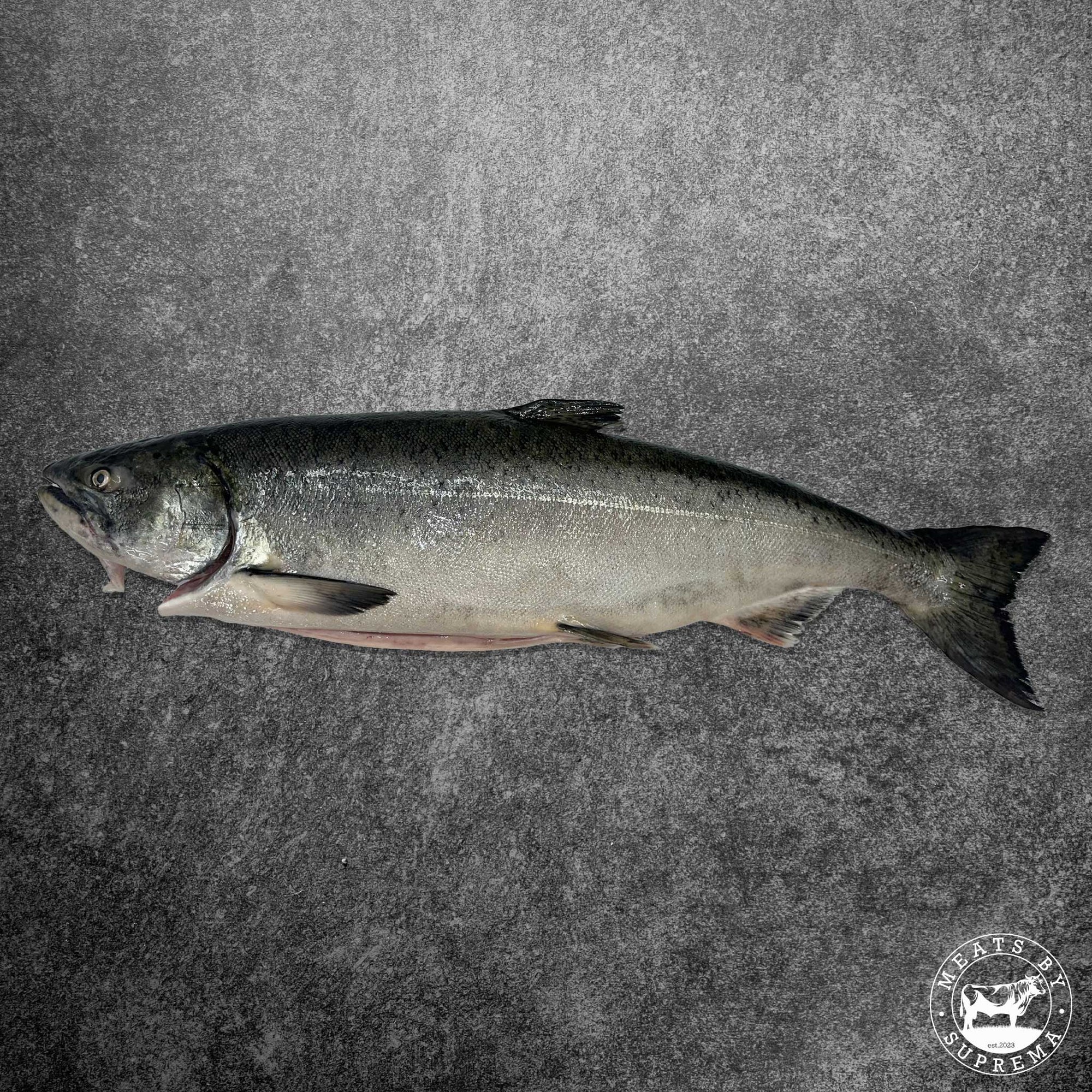 Wild Caught Alaskan Red king salmon 8oz